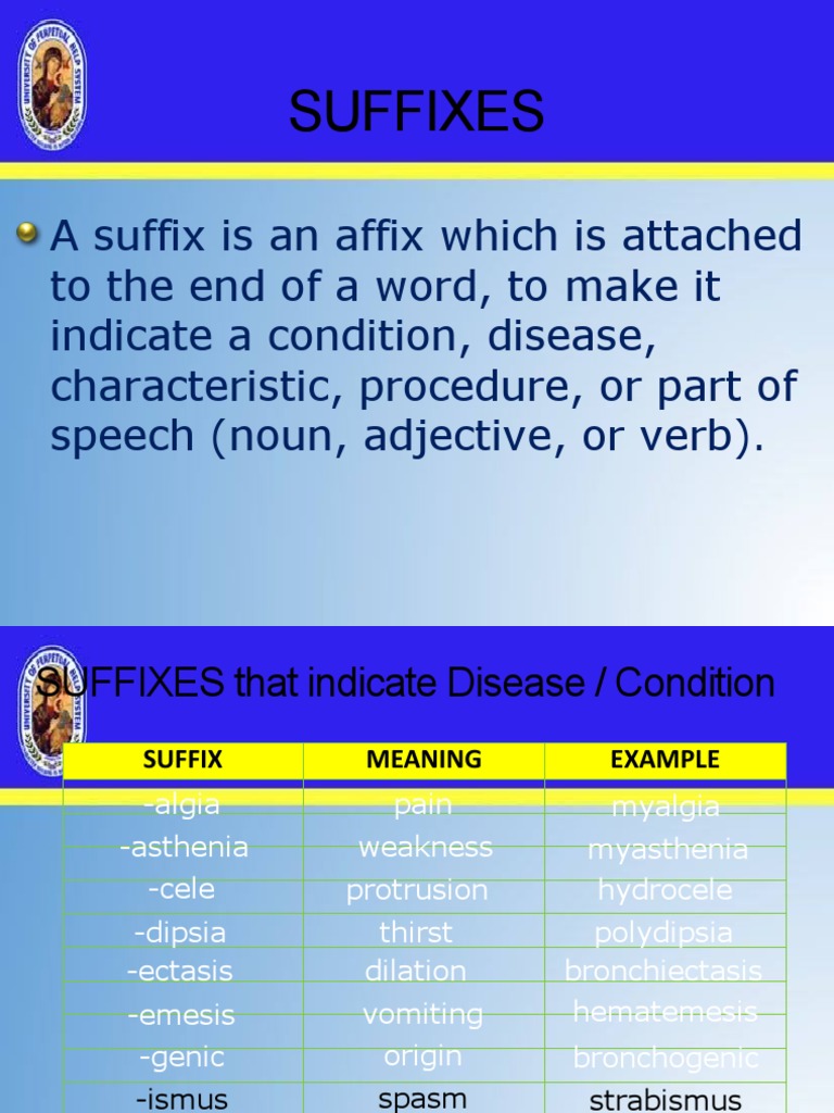 Chapter 2 Suffixes | PDF