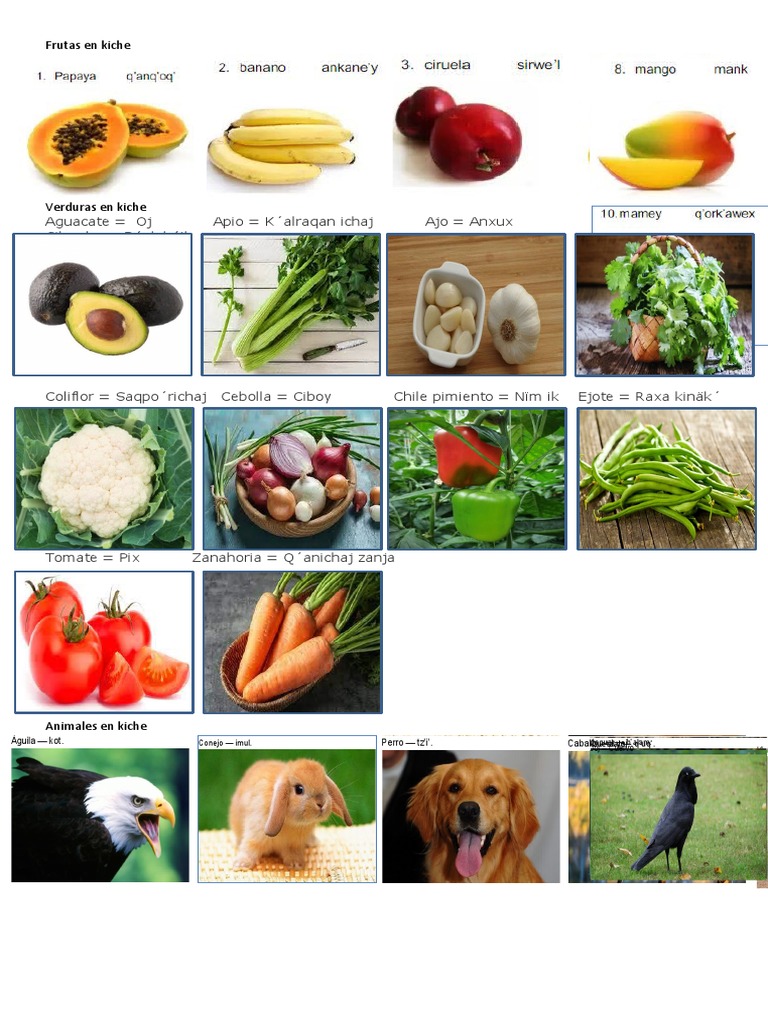 Frutas y verduras en K'iche' | PDF | Alimentos | Cocina