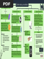Linea Del Tiempo Teoria Celular | PDF | Nucleo celular | Biología Celular)