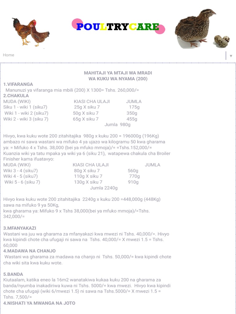 Ufugaji Wa Kuku Wa Kisasa | PDF