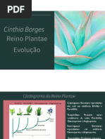 Espermatófitas | PDF | Plantas | Botânica