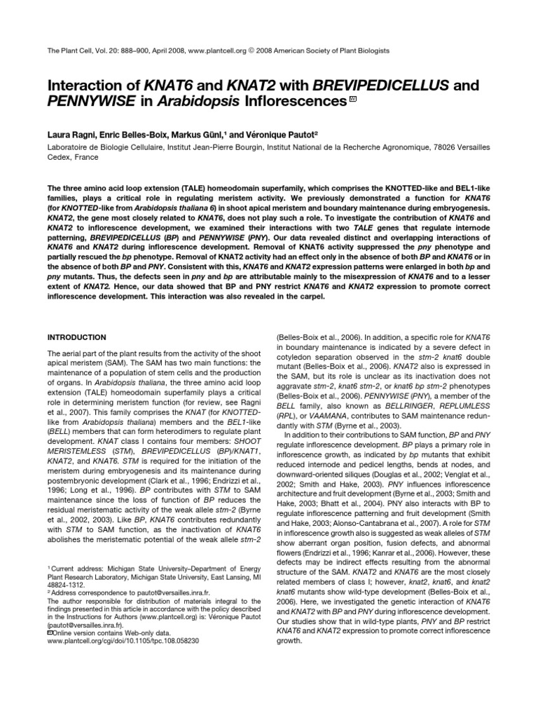 BP, Knat2, Knat6 (Ragni Et Al, 2008) | PDF | Arabidopsis Thaliana ...