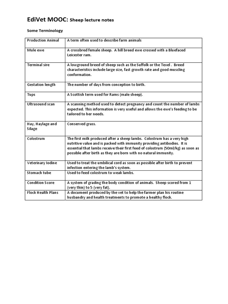 Sheep lecture notes on production, terminology and breeds | PDF | Sheep ...