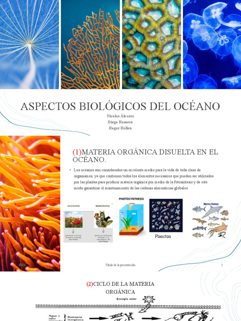 Aspectos Biológicos Del Océano | PDF