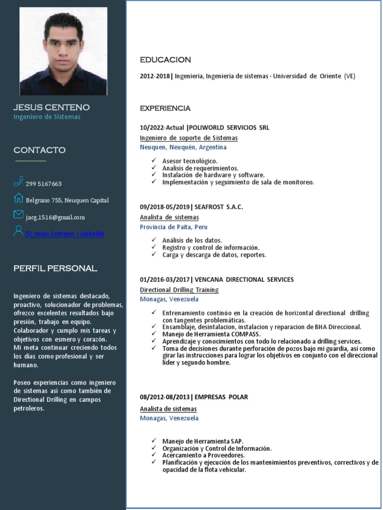 Curriculum Formato | PDF | Informática | Business