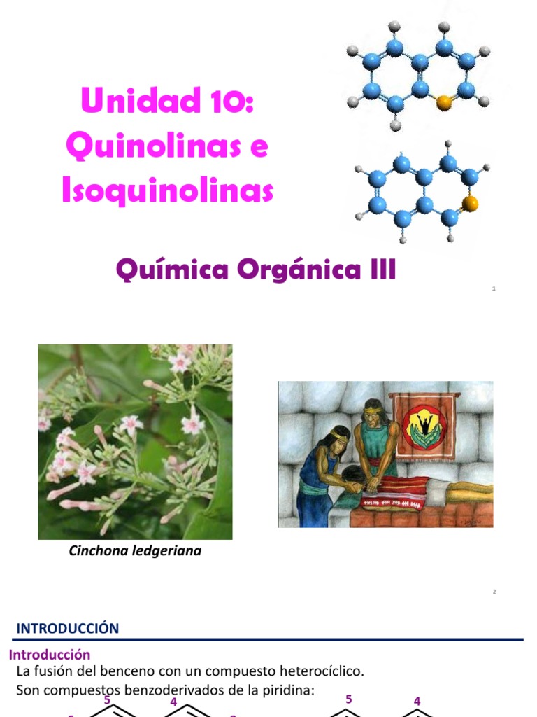 Unidad 10 Quinolinas e Isoquinolinas | PDF | Piridina | Benceno