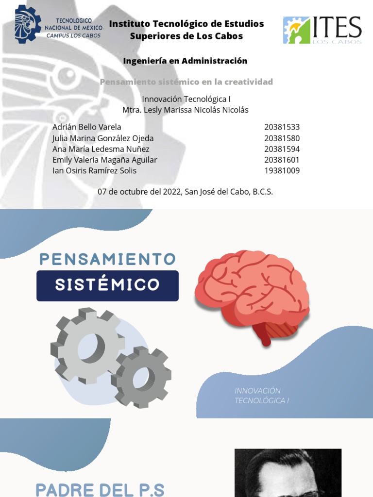 Pensamiento Sistemico - Diapositivas | PDF | Pensamiento sistémico | Ciencia de sistemas