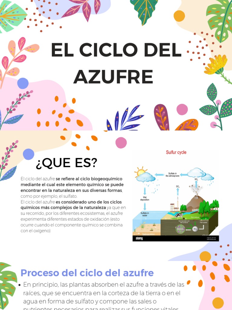 Ciclo Del Azufre | PDF | Azufre | Suelo