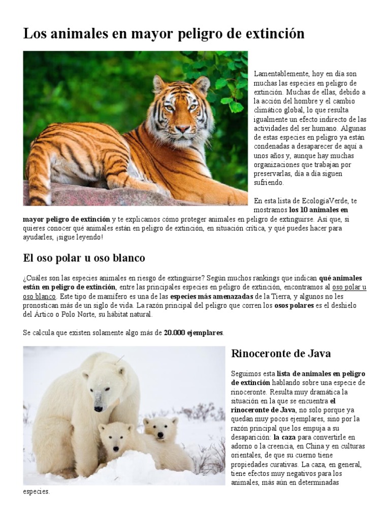 Los Animales en Mayor Peligro de Extinción | PDF | Temblores | Especie en peligro