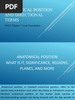 Brain Anatomical Directional Terms | PDF