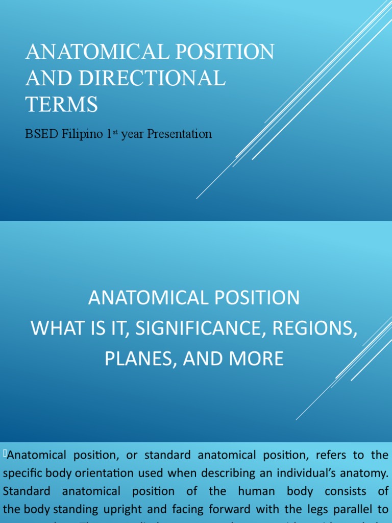Anatomical Position and Directional Terms | PDF | Anatomical Terms Of ...