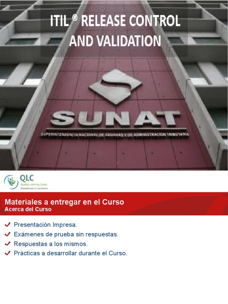 RCV v3 - Sunat | PDF