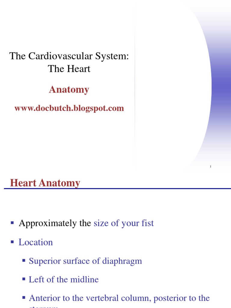 Cardiovascular System Anatomy and Physiology | PDF
