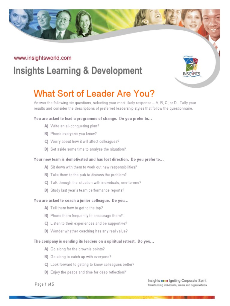 Insights Leadership Questionnaire | PDF | Leadership | Mentorship