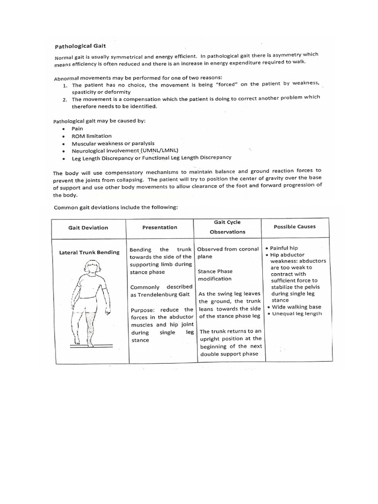 BFO - Pathological Gait | PDF