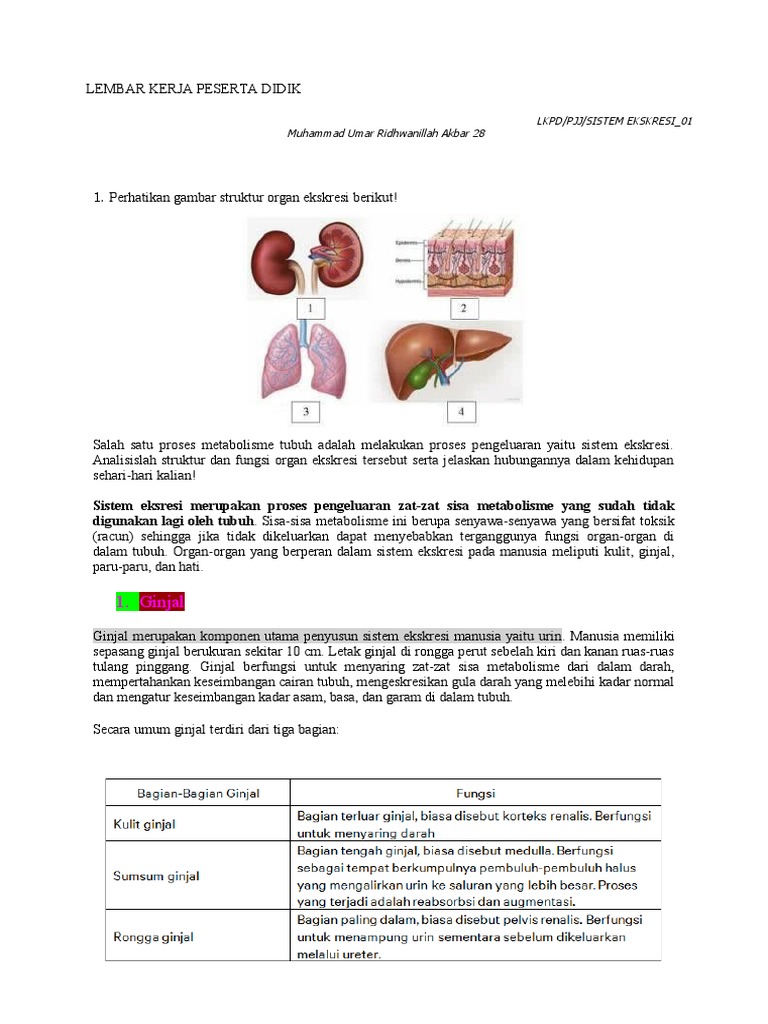 LKPD 01 Ekskresi-Dikonversi | PDF