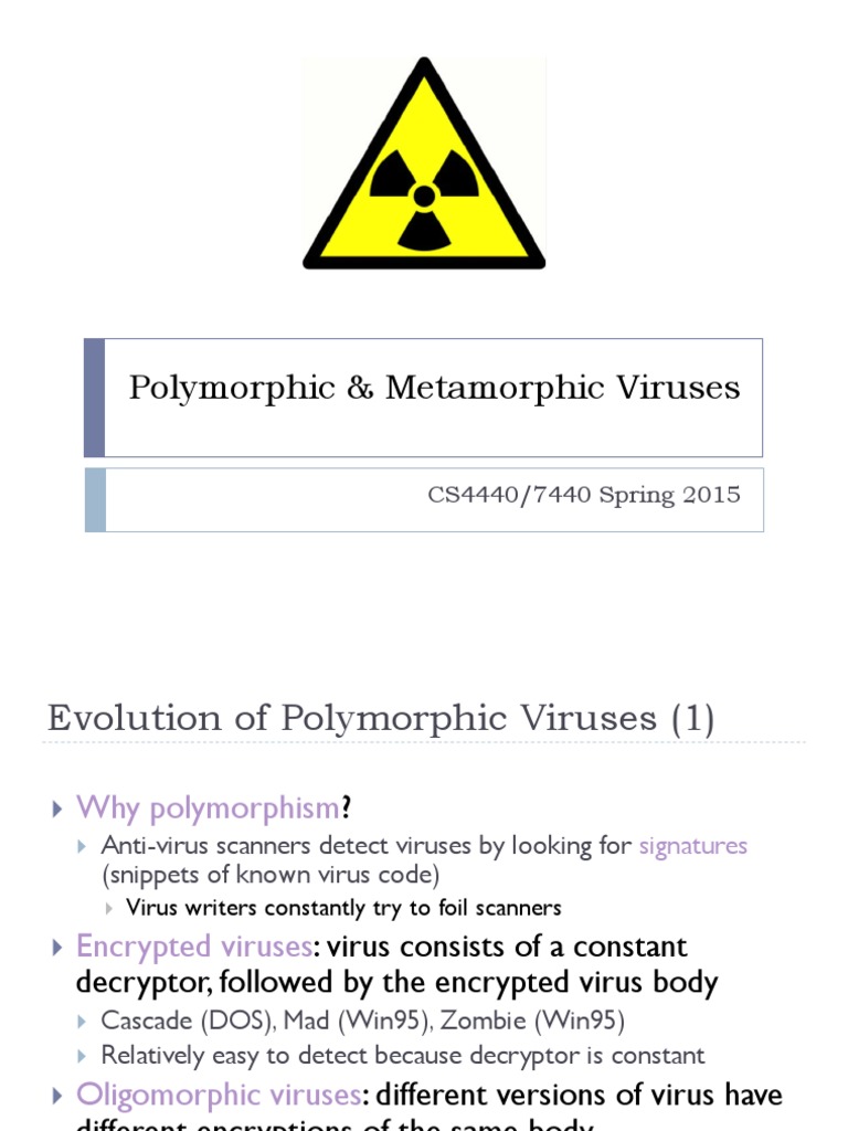 Poly Metamorphic | PDF | Computer Virus | Compiler