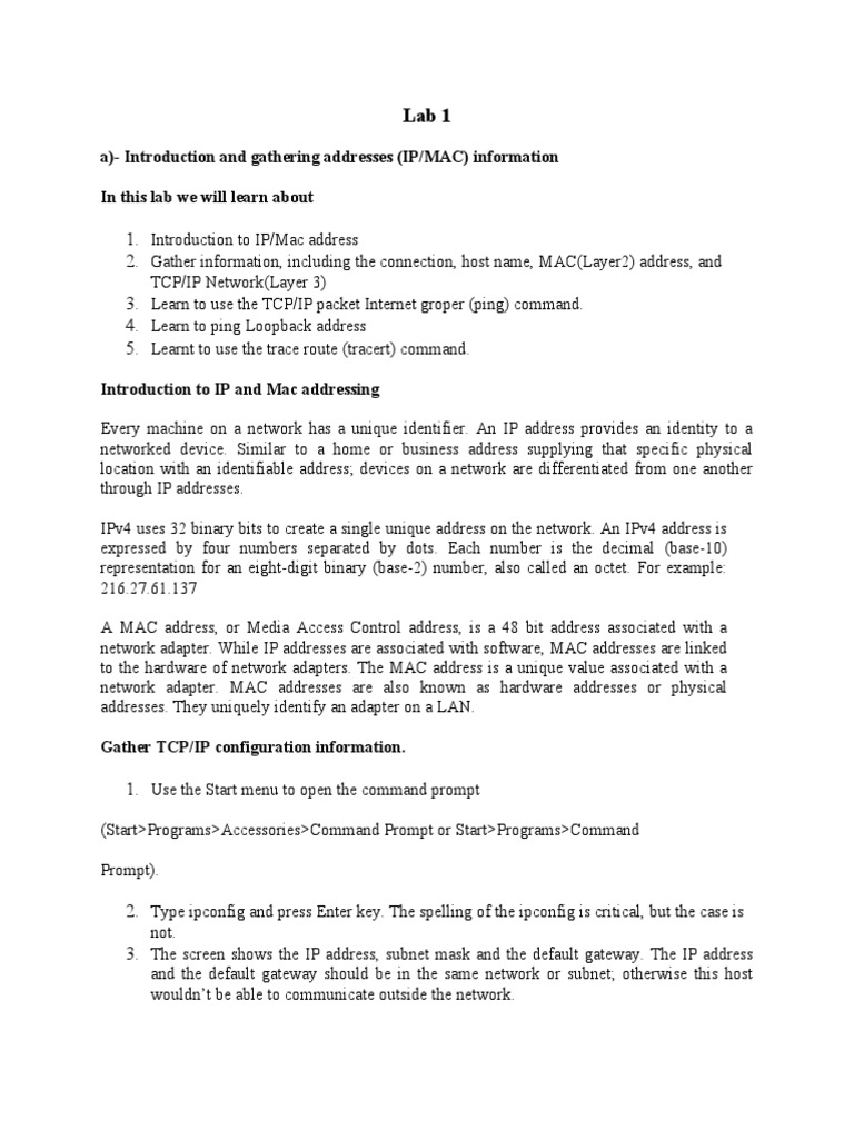 IP Addressing and Network Connectivity Lab | PDF | Routing | Computer ...