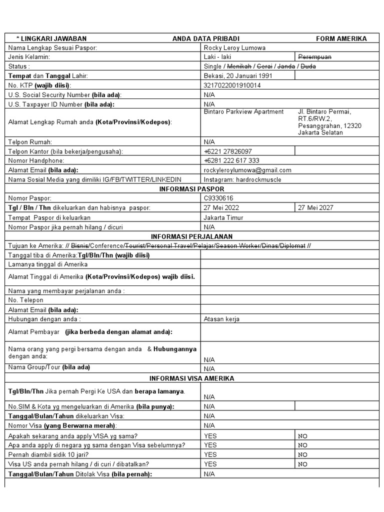 Form Manual Isian Amerika | PDF