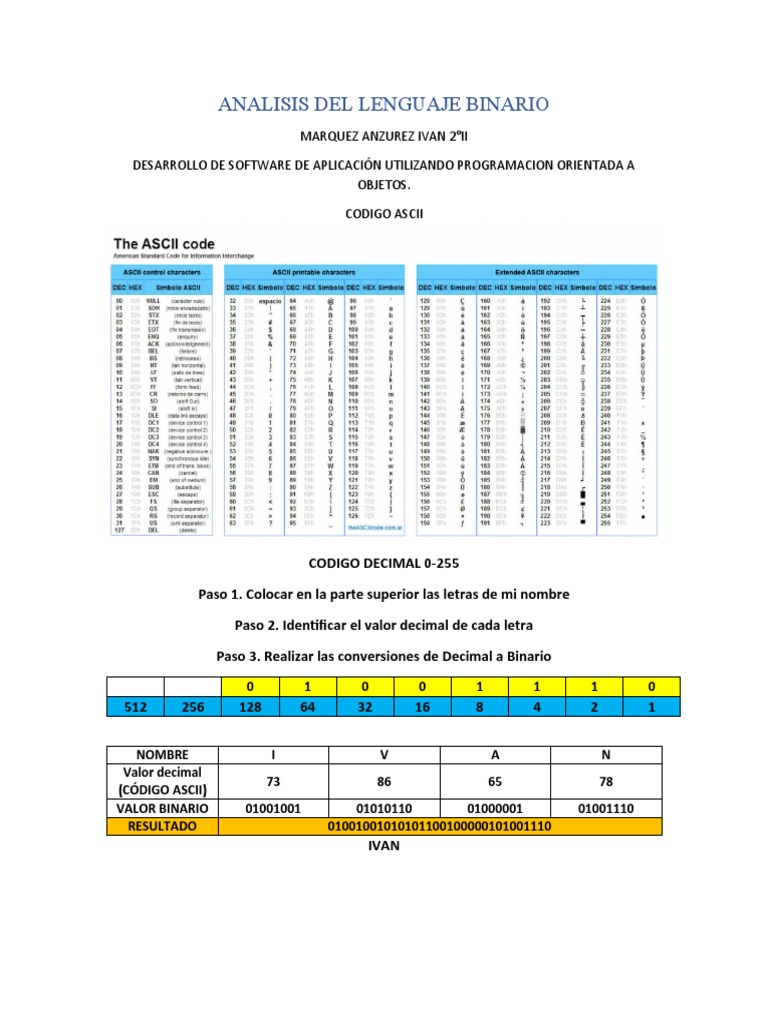 Analisis Del Lenguaje Binario | PDF