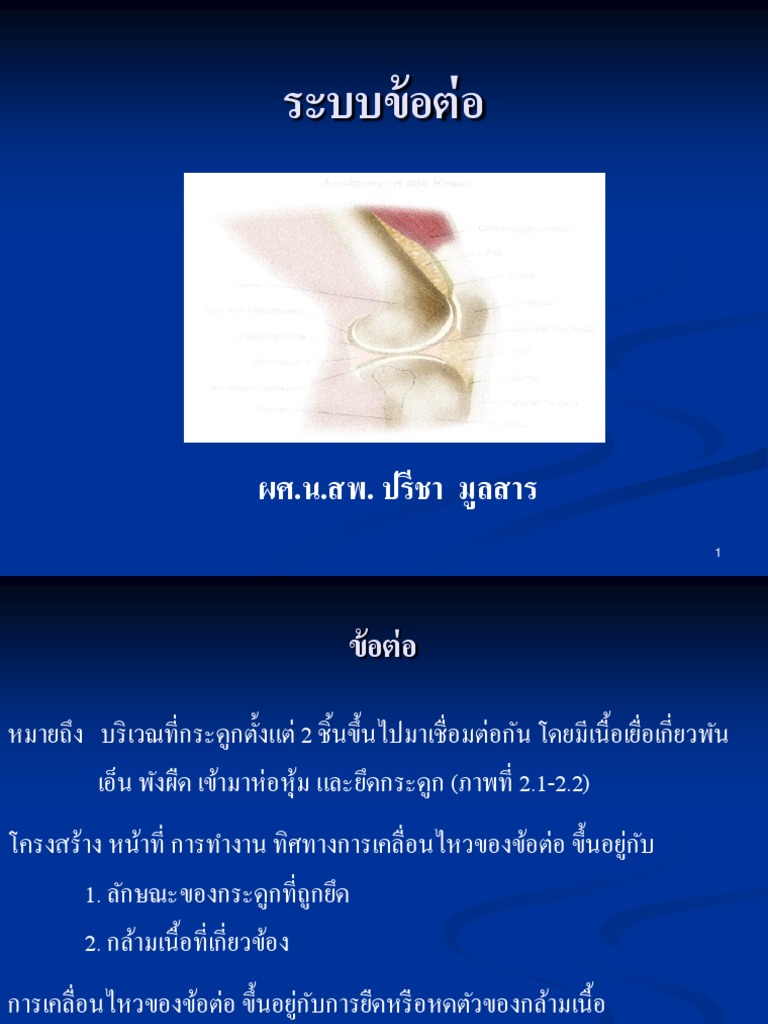 Articulation System | PDF | Skeletal System | Musculoskeletal System