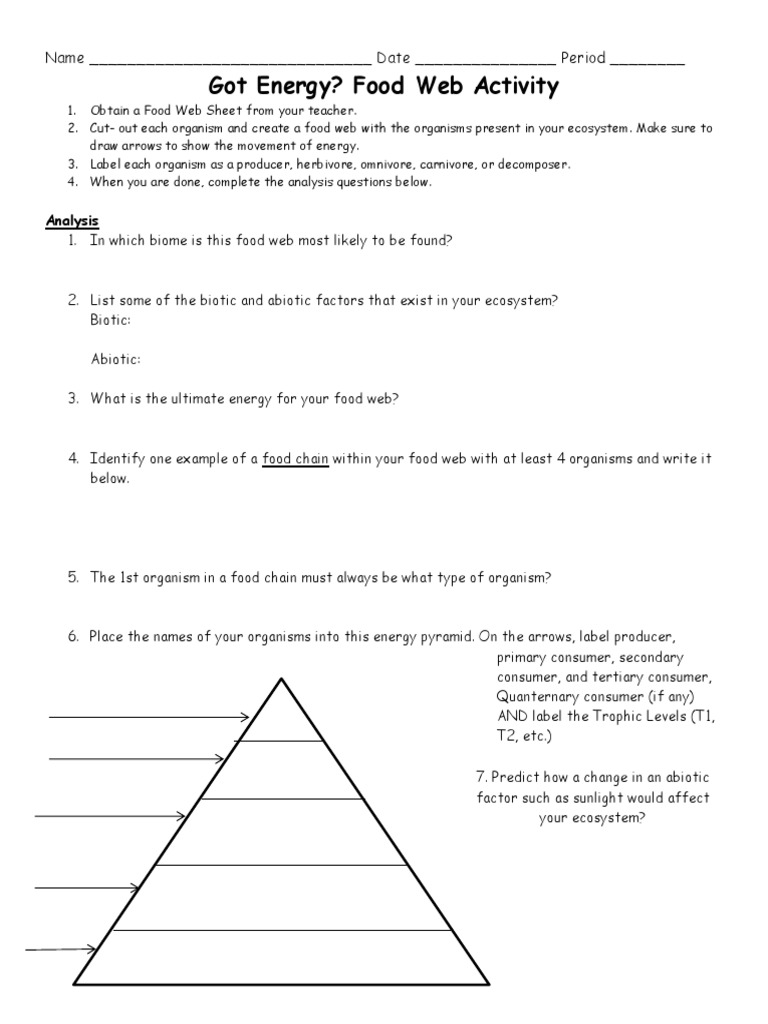 Food Web Activity and Analysis Guide | PDF | Food Web | Ecosystem