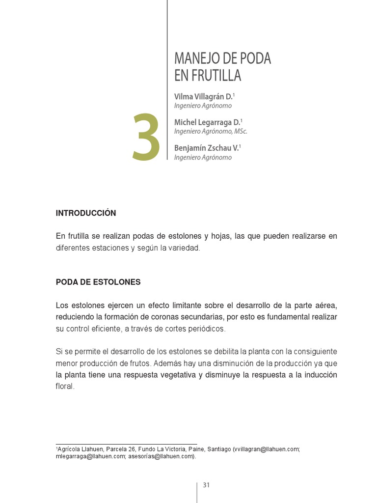 Frutilla Poda NR39087 | PDF | fresa | Plantas