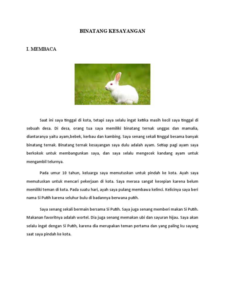 Binatang Kesayangan | PDF