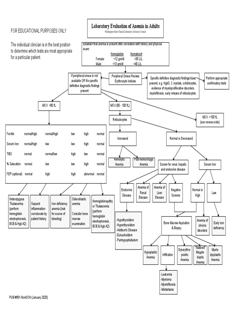 Anemia | PDF | Anemia | Blood
