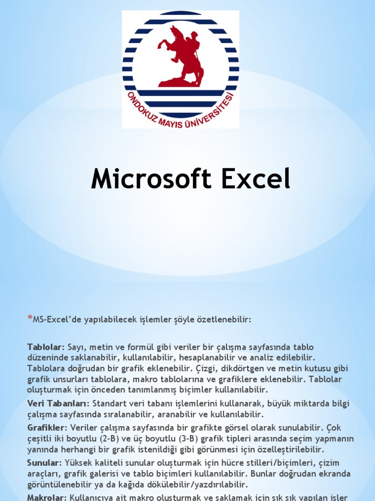 Microsoft Excel | PDF