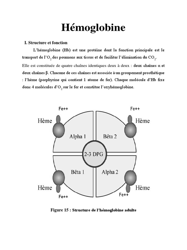 1 Hémoglobine | PDF | Hémoglobine | Chimie