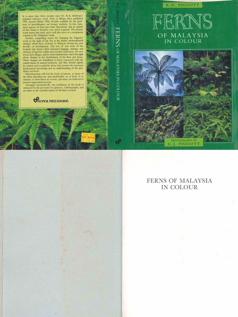 Ferns of Malaysia in Colour (Audrey Piggott) | PDF