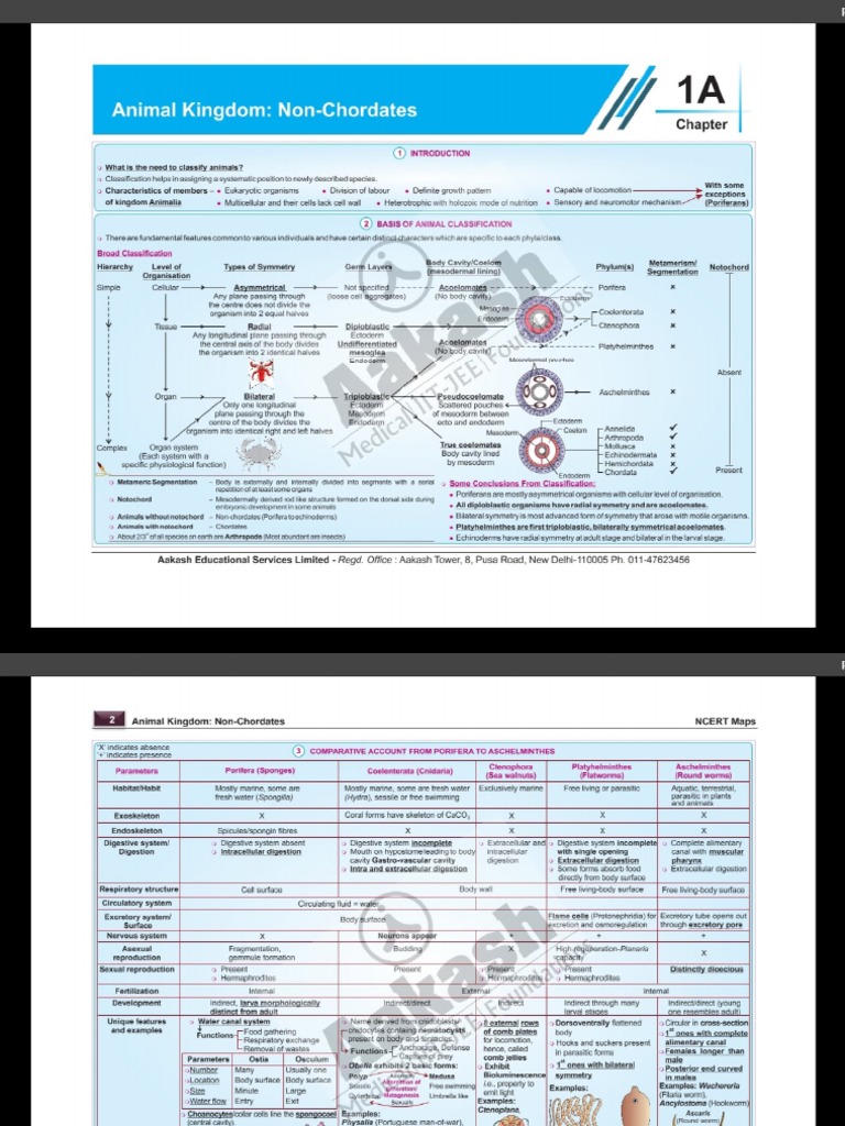 Aakash Zoology Mindmaps Complete 11TH + 12TH | PDF