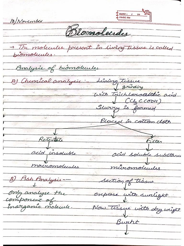 Biomolecules Notes | PDF