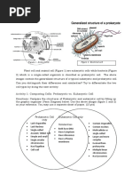 Class 9 - Diagram Cell | PDF