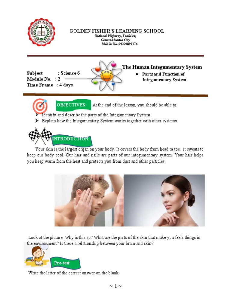 Integumentary System Lesson Plan | PDF | Integumentary System | Skin