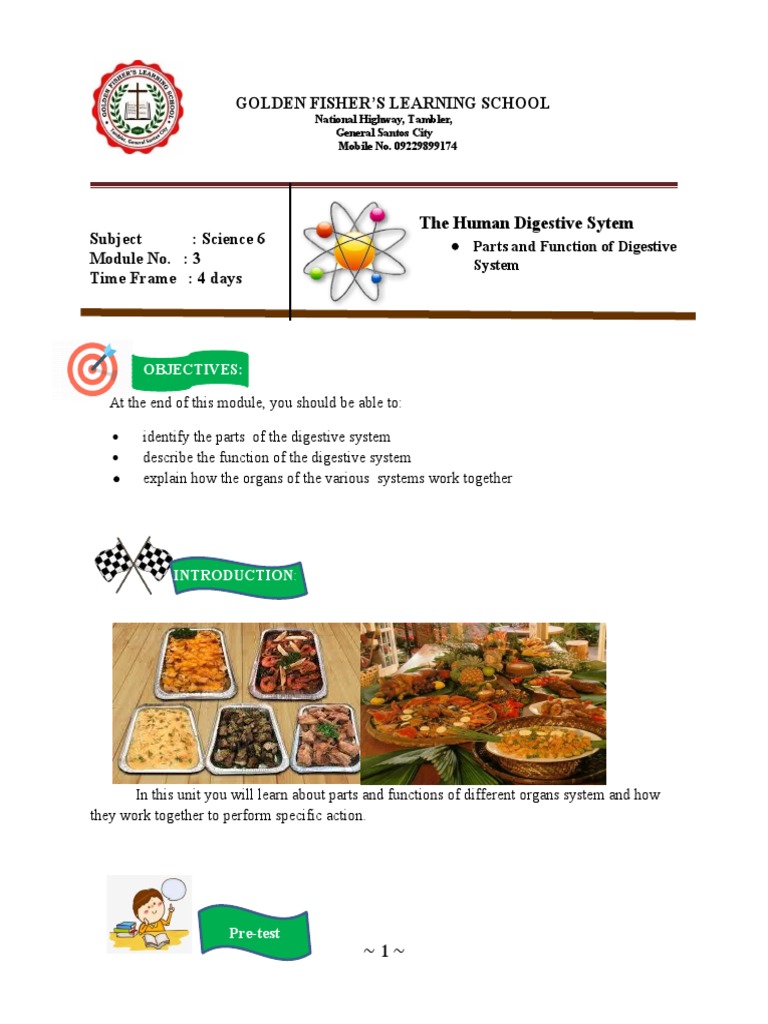 MODULE 3 2ND QUARTER Science 6 EDIT | PDF | Human Digestive System ...
