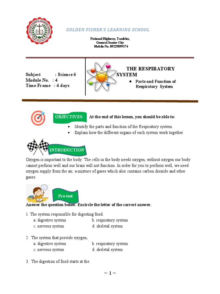 MODULE 4 2ND QUARTER Science 6 EDIT | PDF | Respiratory Tract ...