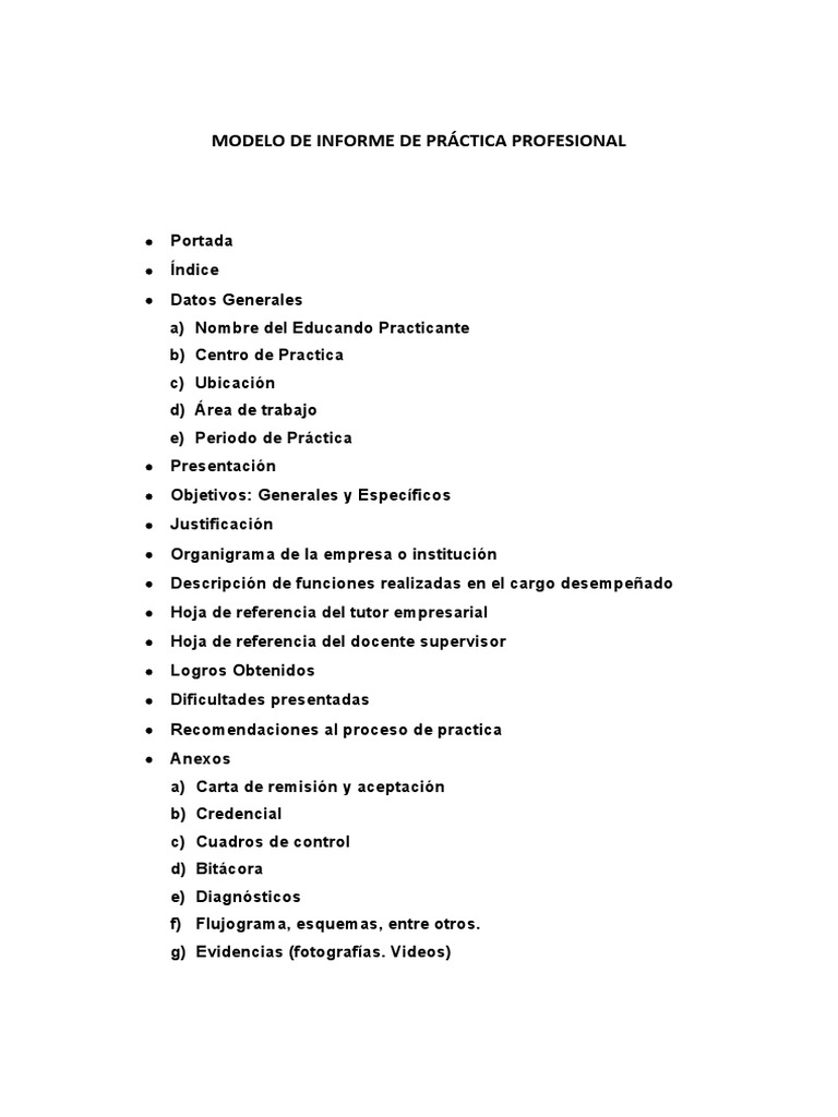 Modelo de Informe de Práctica Profesional | PDF