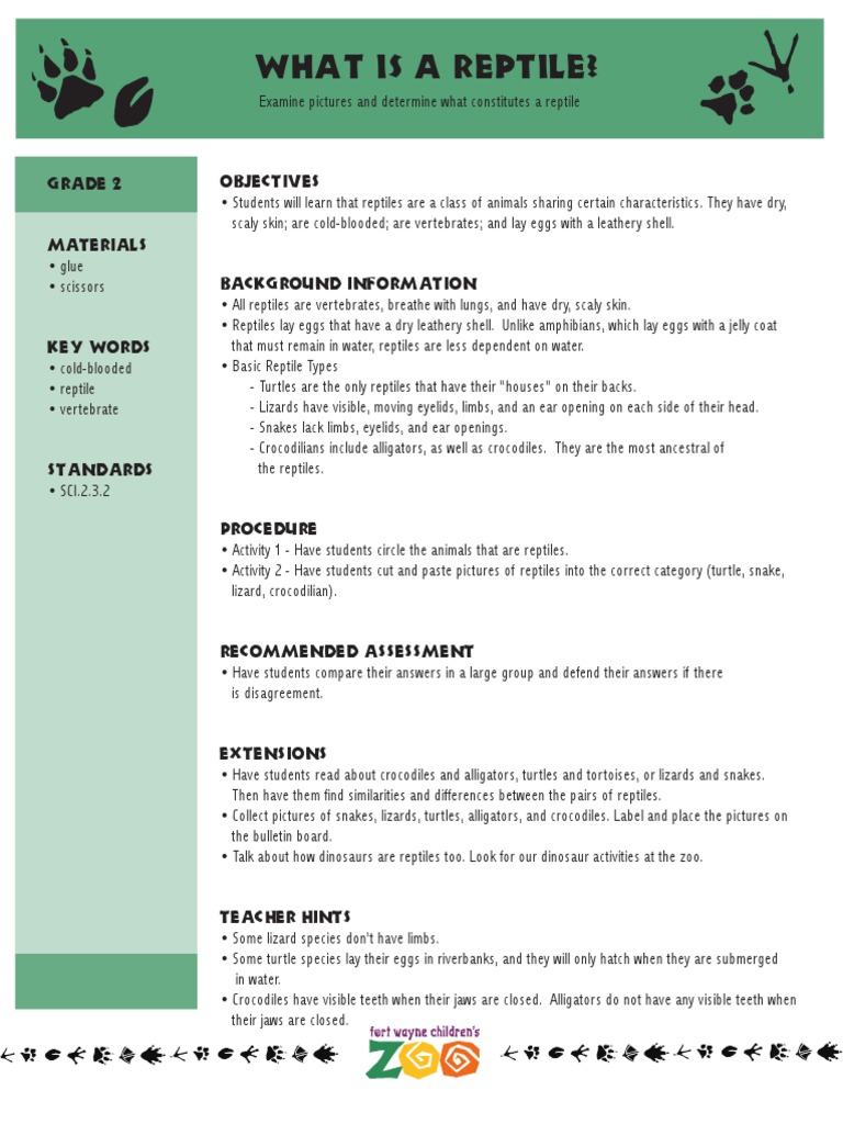 What Is A Reptile | PDF | Reptile | Crocodile