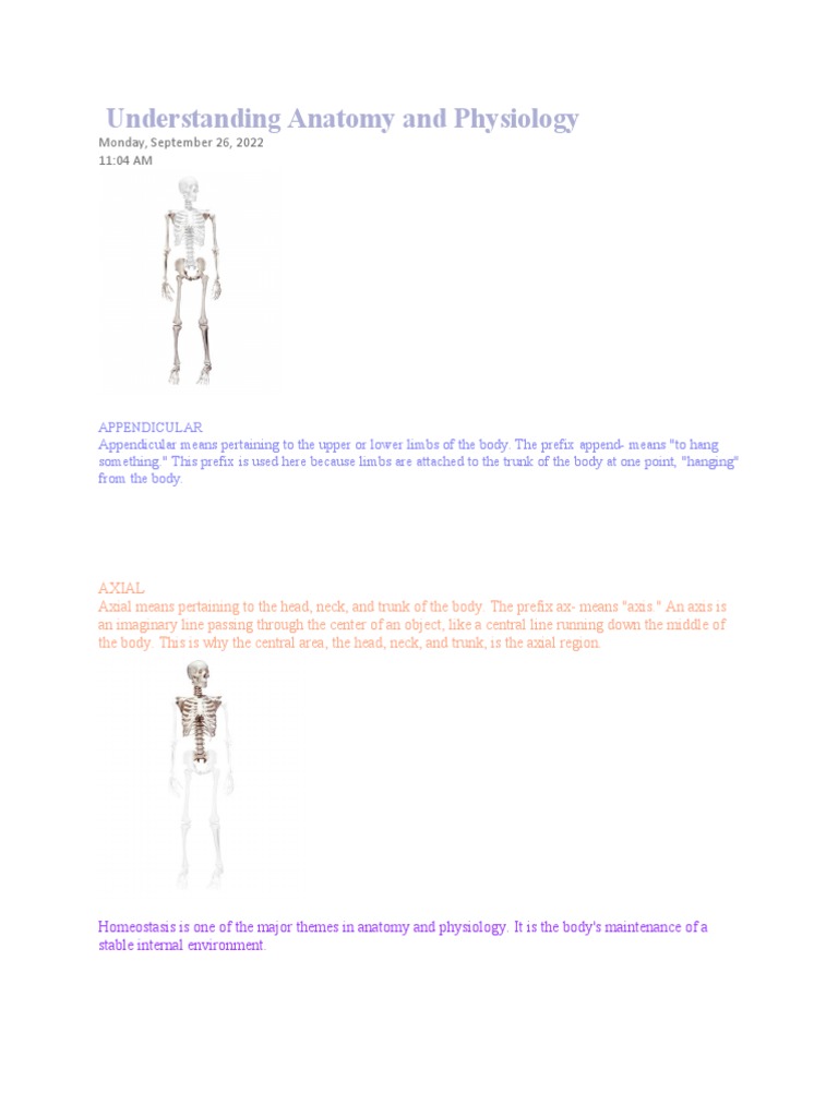 Understanding Anatomy and Physiology | PDF | Anatomical Terms Of ...