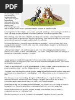 100 Ejercicios para Mejorar La Comprensión Lectora - Cuarto Grado de Primaria | PDF