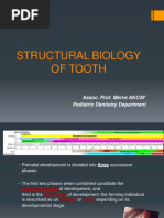 1st BDS Books List | PDF | Dental Degree | Health Sciences