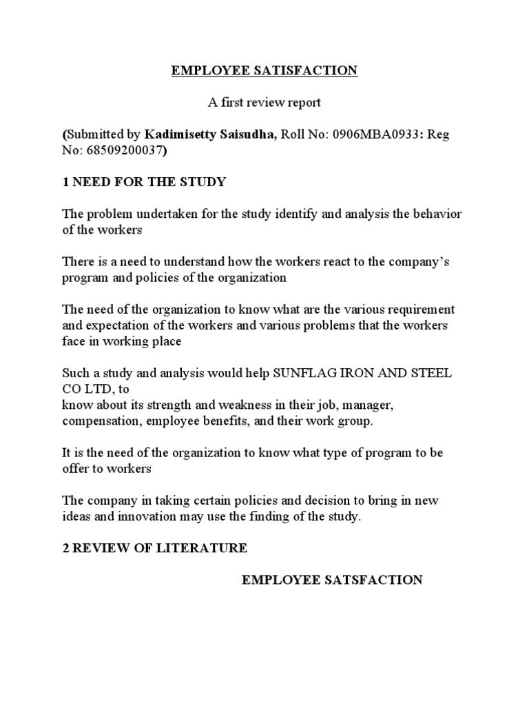 Employee Satisfaction | PDF | Job Satisfaction | Employment