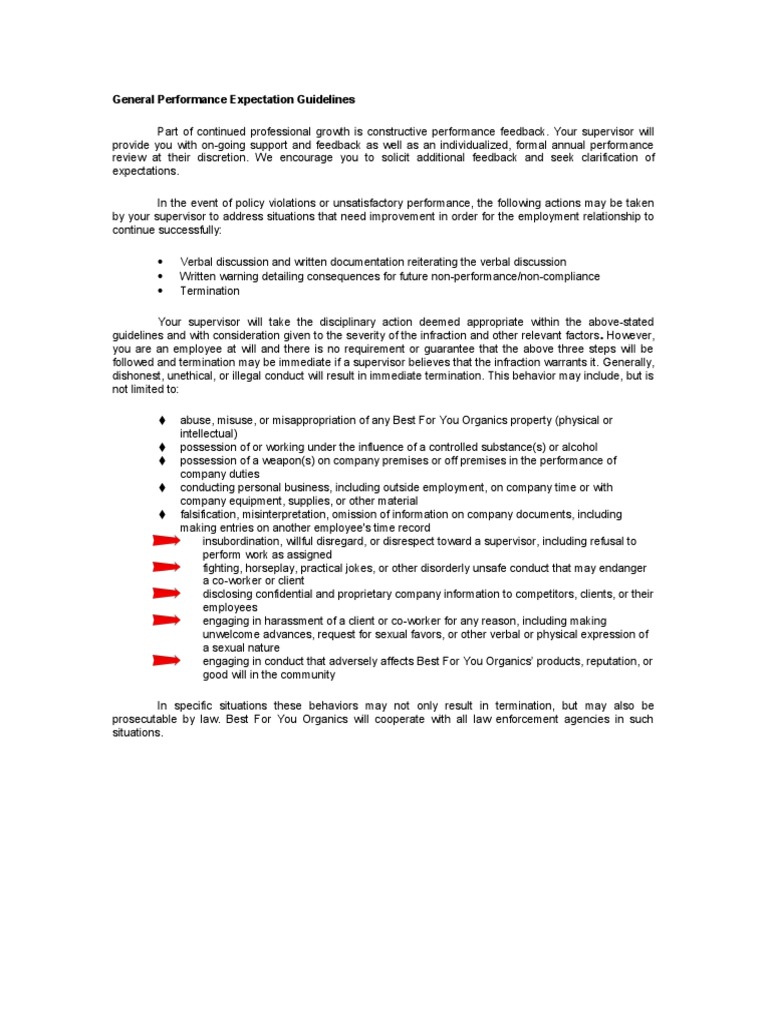 Performance Feedback Guidelines | PDF | Employment | Applied Ethics