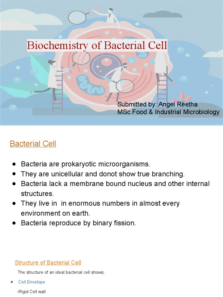 Biochemistry of Bacterial Cell | Download Free PDF | Cell Membrane ...