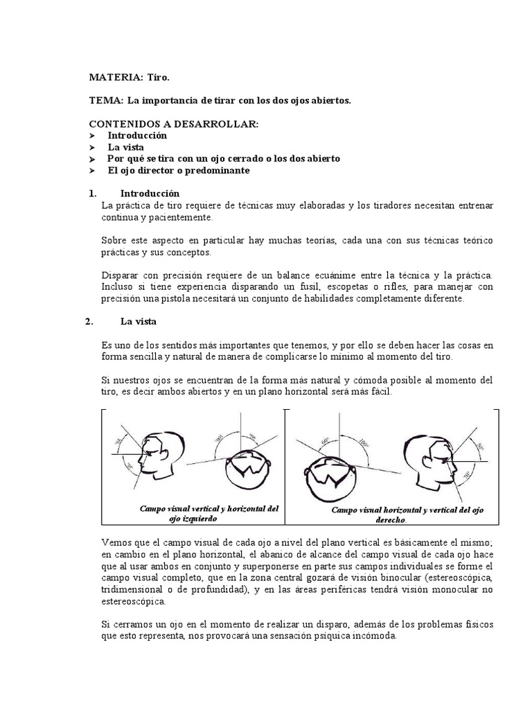 Trabajo El Ojo Director Pdf Ojo Percepción Visual