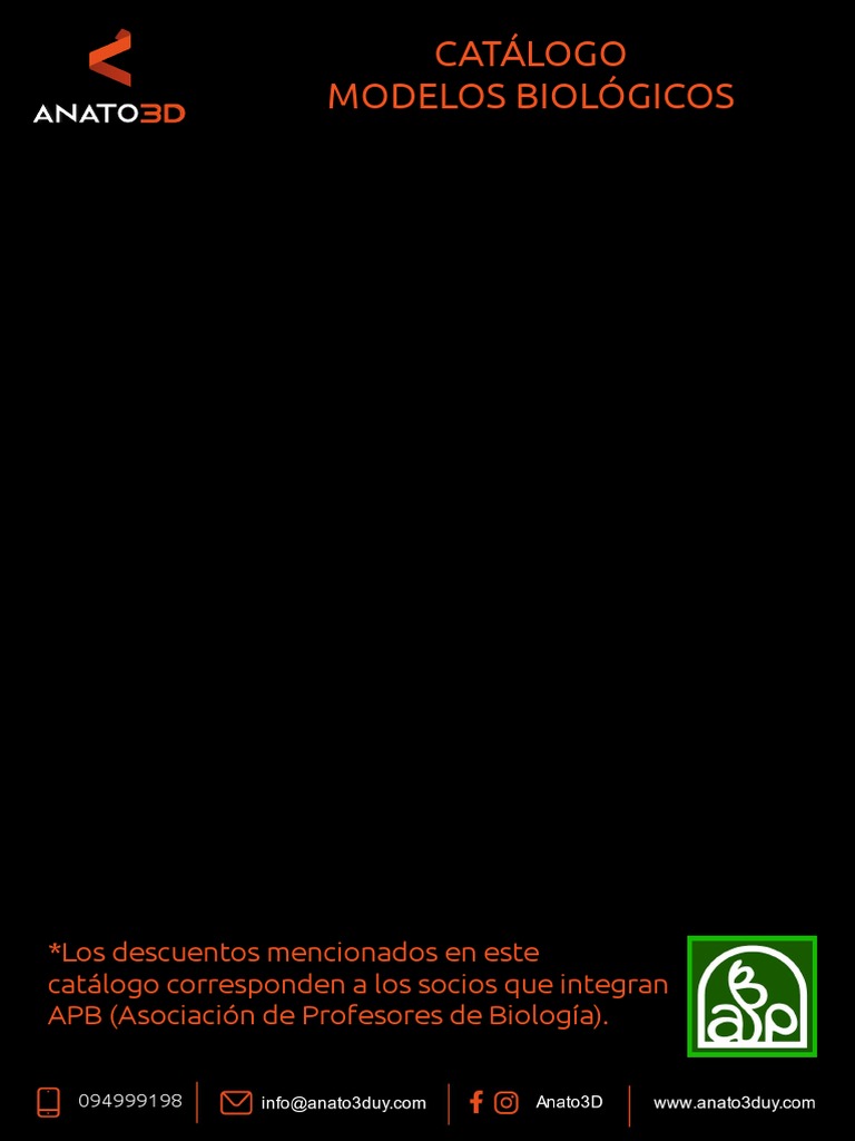 Anato 3D | PDF | Vértebra | Hueso