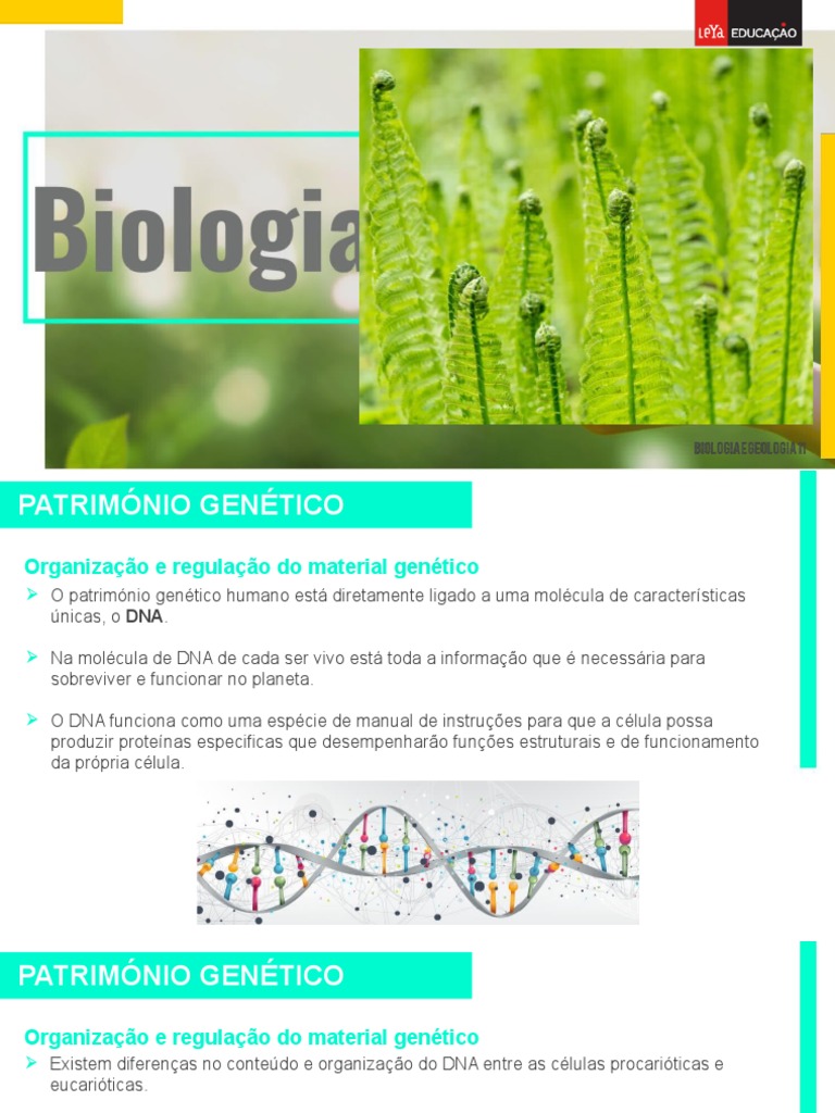 Estrutura e Função do DNA Humano | PDF | Tradução (Biologia) | Gene