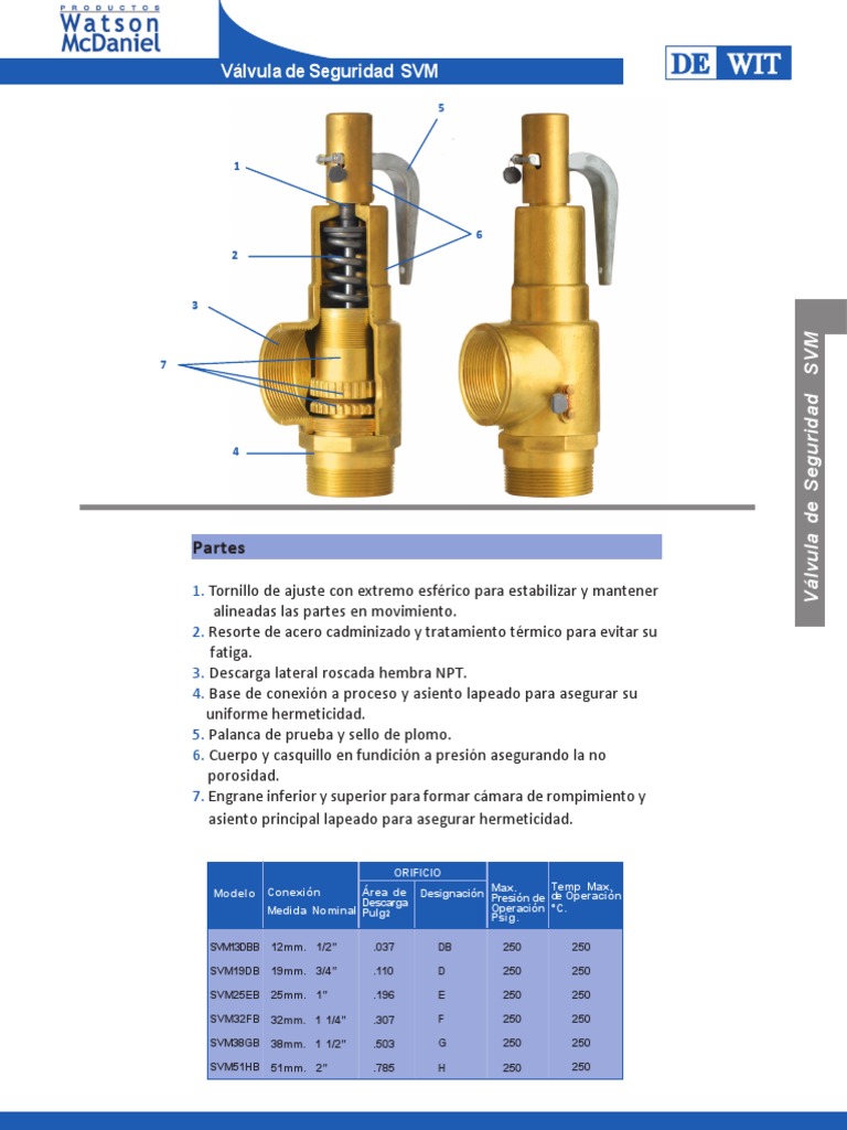 Valvulas Seguridad DeWIT Modelo SVM | PDF | Rieles | Química